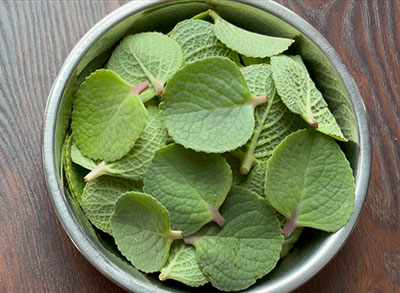 Doddapatre pudi palya recipe | How to make Ajwain leaf stir fry ...